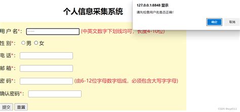 js实现表单操作、正则表达式的使用 js使用正则表达式在表单 csdn博客