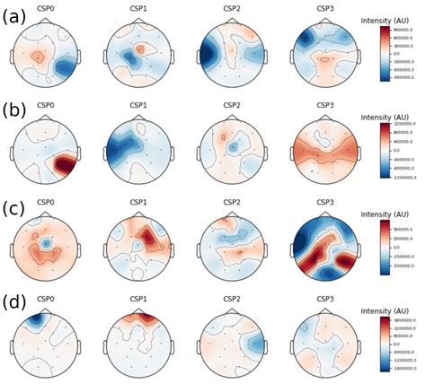 This Figure Shows The Common Spatial Pattern CSP Transforms Of A