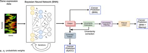 EpICC Combines Bayesian Neural Network BNN With Uncertainty