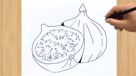 How To Draw A Fig Fruit Easy Step By Step Drawing Youtube
