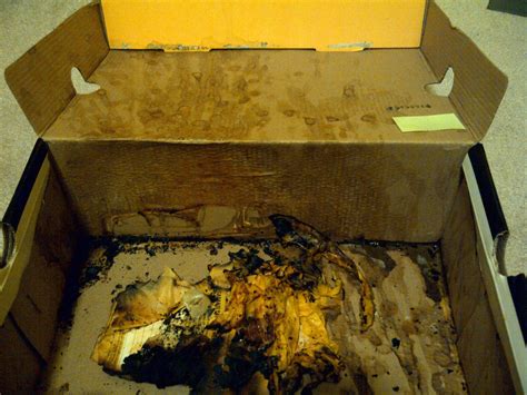 Shoe Box Cum Cum Box Rcopypasta