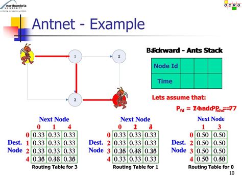 ppt investigation of antnet routing algorithm by employing multiple ant colonies for packet