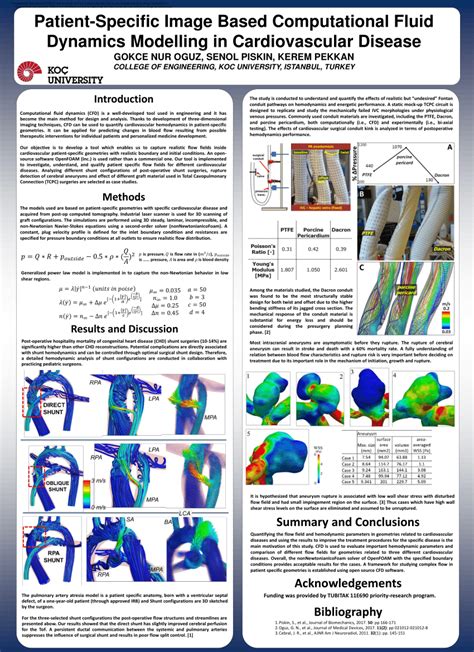 pdf patient specific image based cardiovascular disease modeling using computational fluid