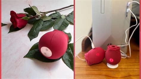 Rose Sex Toy Guide • Phallophile Reviews