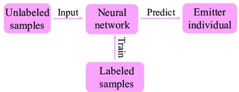 feature extraction method based on self supervised learning download scientific diagram
