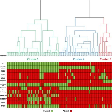 Dendrogram Created By Unsupervised Hierarchical Cluster Analysis