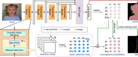 an overview of the proposed sparsely annotated segmentation download scientific diagram