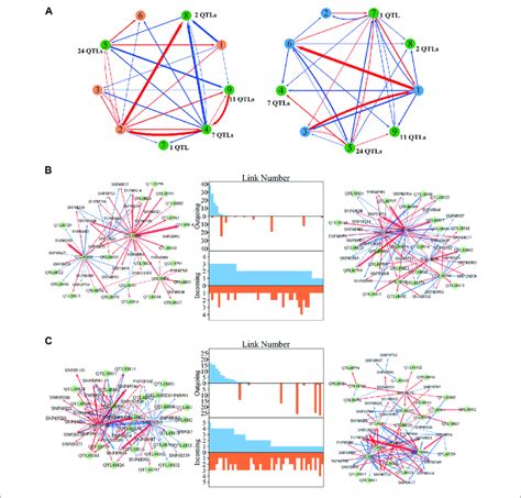 intergalactic genetic networks of quantitative trait loci download scientific diagram