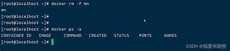 docker——容器命令介绍、创建nginx容器与redis容器 docker run name some nginx d p 8080 80 some co csdn博客