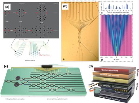 representative quantum walk works a top theoretical graphs of download scientific diagram