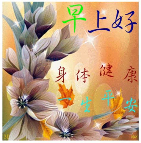Unveil The Allure Of Good Morning Beautiful In Chinese Discoveries And Insights