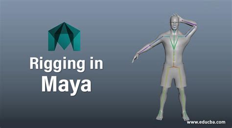 Rigging In Maya Introduction To Character Rigging In Maya