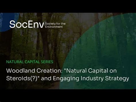 Natural Capital On Steroids And Engaging Industry Strategy
