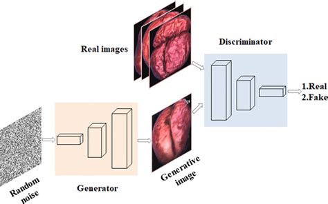 The Schematic Diagram Of Deep Convolutional Generative Adversarial