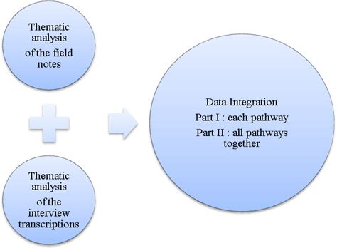 systematic data integration—a method for combined analyses of field notes and interview texts