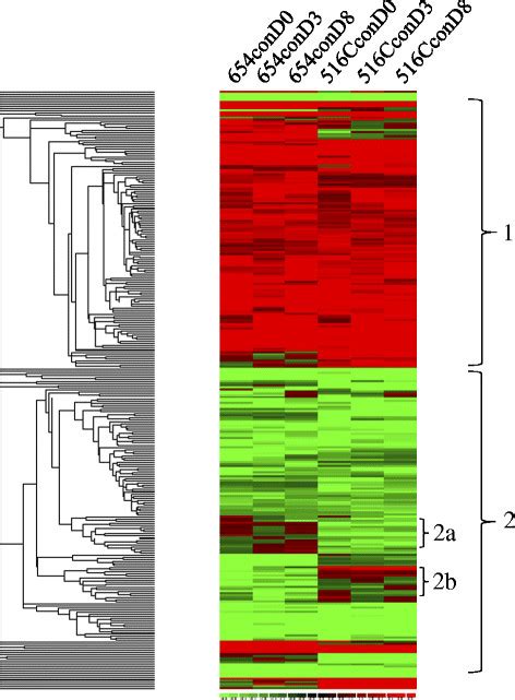 Hierarchical Clustering Of The Constitutively Regulated Genes Each