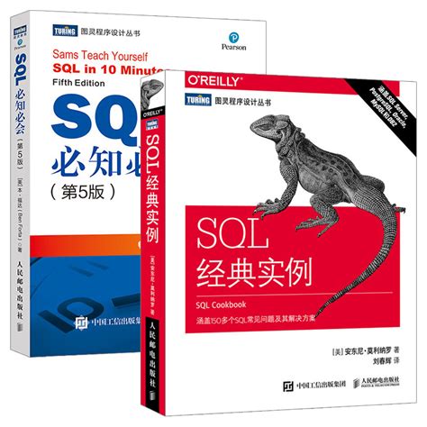 【套装2本】sql必知必会第5版 sql经典实例sql数据库入门经典教程 sql语句查询应用 sql语言数据库教程书籍 sql从入门到精通 虎窝淘