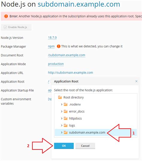 Unable To Activate Node Js For A Subdomain In Plesk Another Node Js