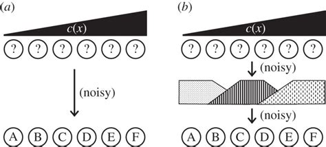 direct versus multi tiered decoding strategies for gradient mediated download scientific