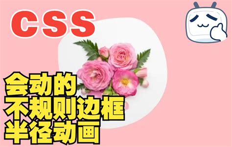 【web前端特效源码】使用html5 css3制作一个会动的不规则边框半径动画的动画效果~~适合初学者~超简单~ 前端开发 it软件 哔哩哔哩 bilibili