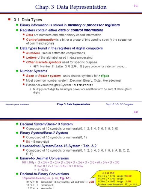 chap 3 data representation pdf binary coded decimal elementary mathematics