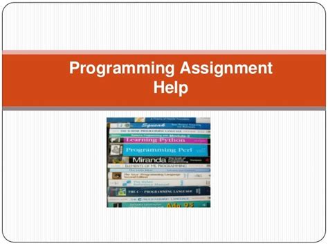 programming assignment help