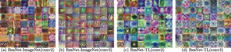 visualization of the second conv2 and the third conv3 layer download scientific diagram