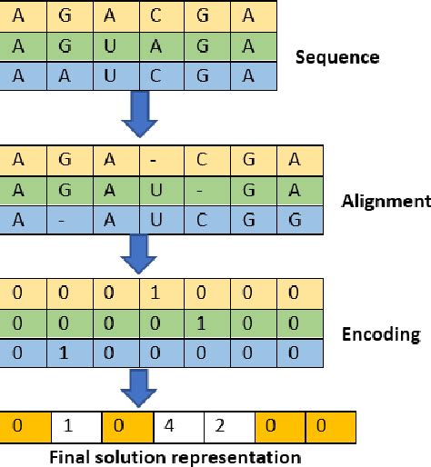 an improved chemical reaction optimization approach for solving multiple sequence alignment
