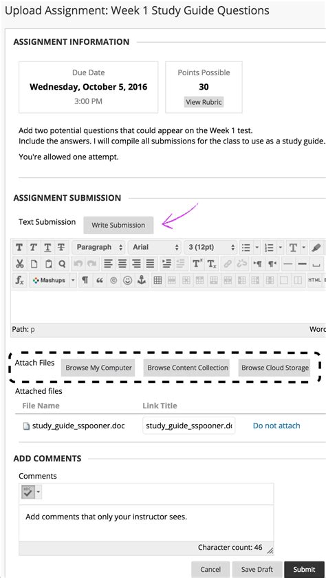 Submit Assignments