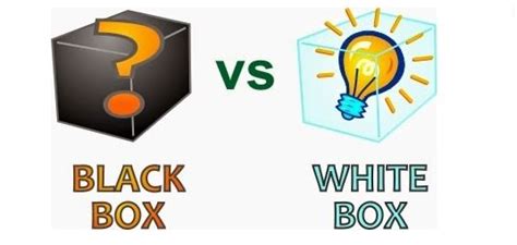 Black Box Vs White Box Testing VladXtron