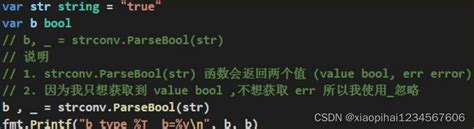 【go语言的基本数据类型】 go中初始bool为 csdn博客