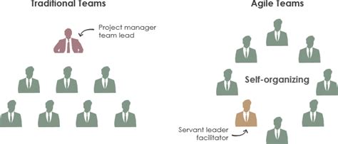 Navigating The Agile Landscape Cross Functional Teams Vs Self