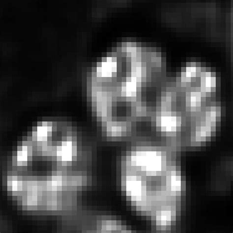 convexity shape constraints for image segmentation deepai