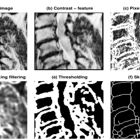 pdf wavelet based image segmentation