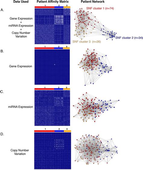similarity network fusion snf based integrative clustering of patient download scientific