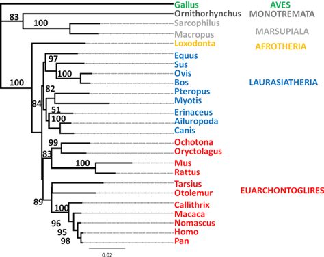 R Link Tip Labels To Phylogenetic Tree Using Dots Stack Overflow