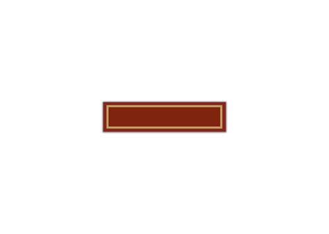 Flutter ElevatedButton Custom Style Flutter Fixes