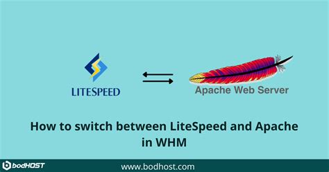 In WHM How To Switch Between LiteSpeed And Apache