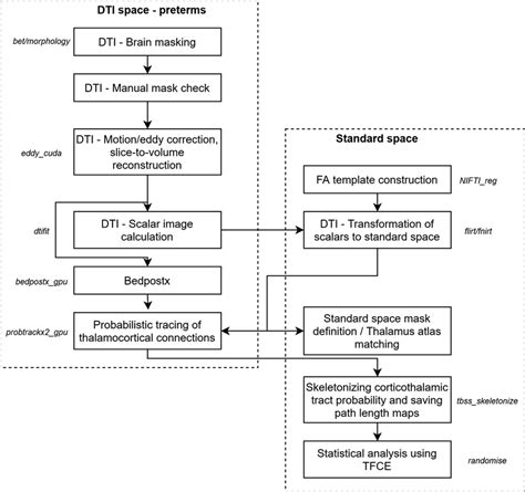 overview of the diffusion tensor imaging dti processing steps download scientific diagram