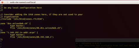 Bind9 Local Dns Server Ubuntu