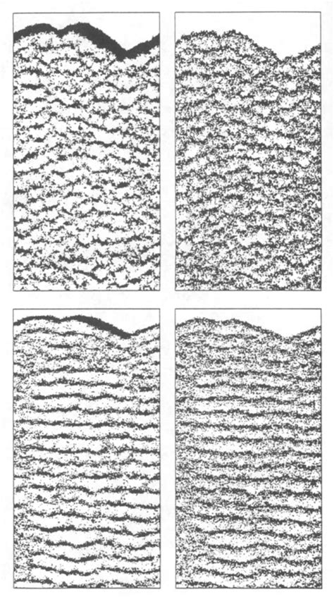 spatiotemporal plots of the prey and predator distributions for low d download scientific