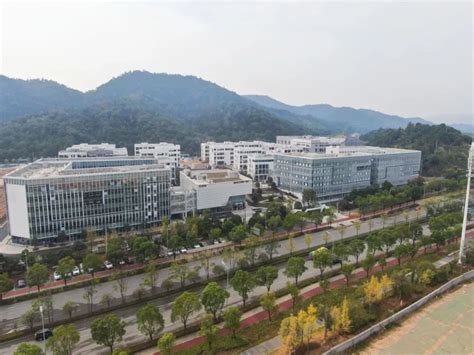 头雁领航群雁飞科大讯飞湖南区域总部落户新区打造人工智能生态示范区 澎湃号政务 澎湃新闻 The Paper
