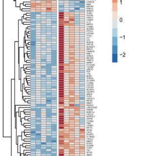 Hierarchical Cluster Analysis Of The 101 Significant Differentially