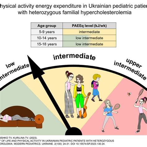 fig schematic representation of physical activity energy expenditure download scientific