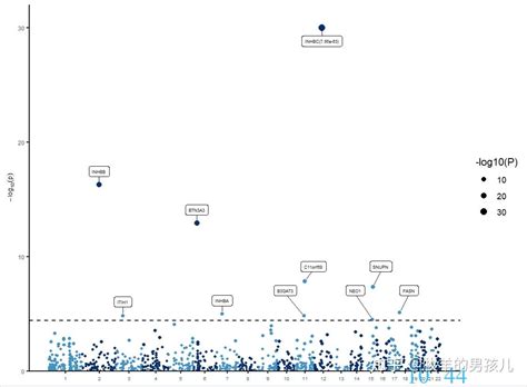 跟着nature genetics学作图：r语言ggplot2曼哈顿图完整示例 知乎