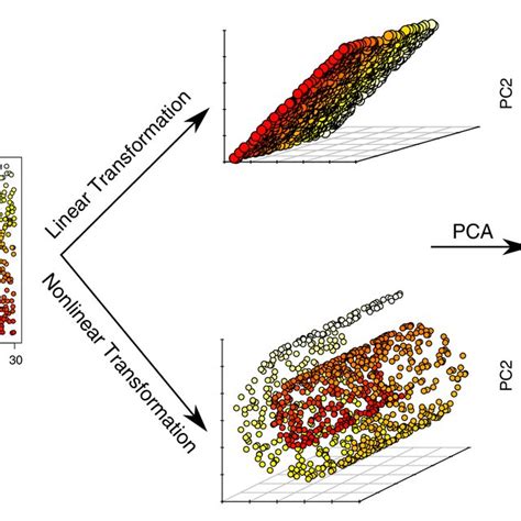 example of dimensionality reduction of linear and nonlinear data by