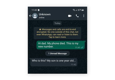 13 WhatsApp Scams To Know And Avoid In 2024 Norton