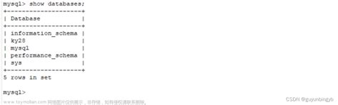 mysql数据库基本命令操作