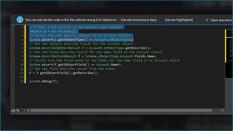 Anonymous Apex Execution The Welkin Suite