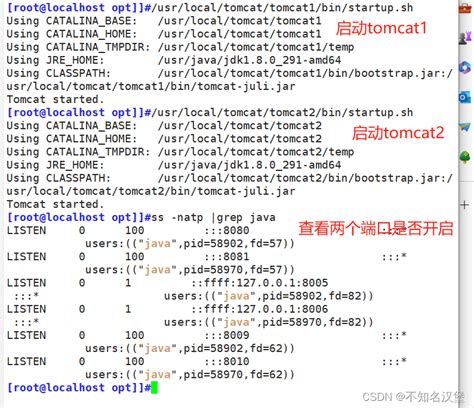 tomcat服务部署、优化多实例实验 csdn博客